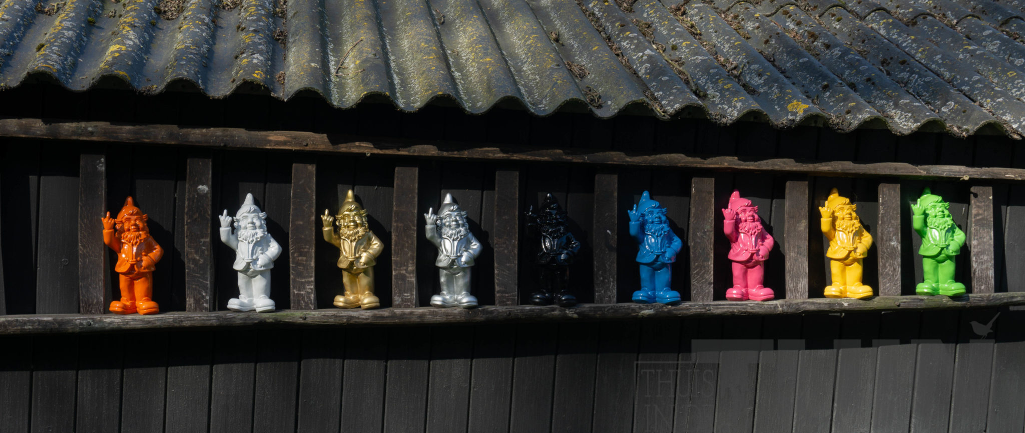 Tuinkabouter - ThuisindeTuin.nl